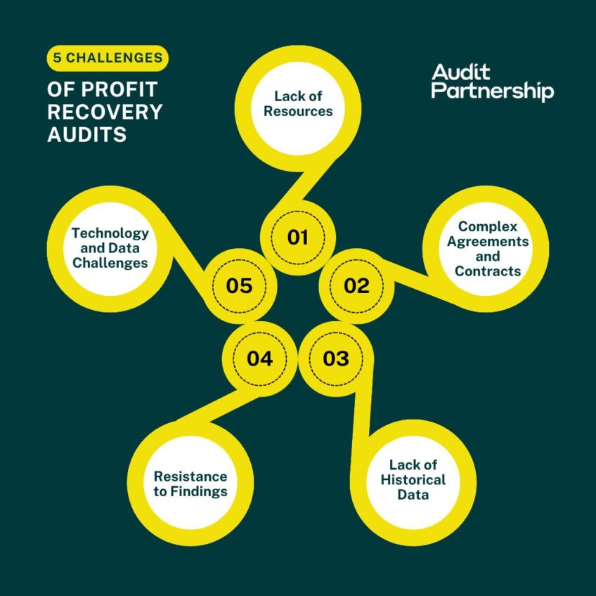 5 Challenges of Profit Recovery Audits | Audit Partnership