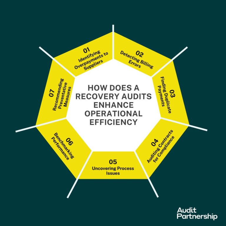 How Does a Recovery Audits Enhance Operational Efficiency | Audit ...