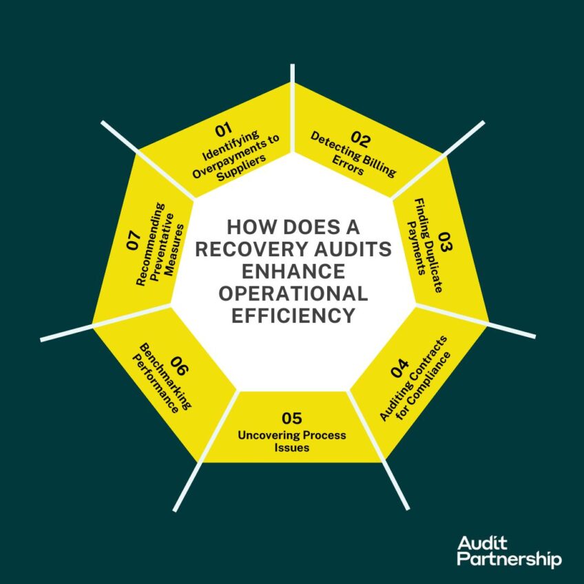 How Does a Recovery Audits Enhance Operational Efficiency | Audit ...